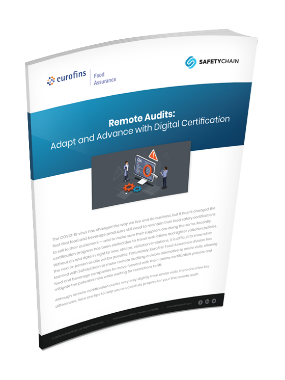 Remote Audits: Adapt and Advance with Digital Certification